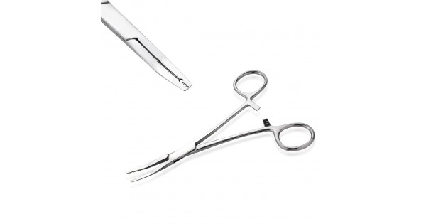 STAINLESS STEEL CURVED KELLY HOLES FORCEPS TOOLS