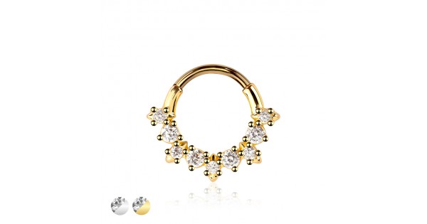 316L SURGICAL STEEL MULTI ROUND CZ SEPTUM HINGED SEGMENT HOOP RING ...